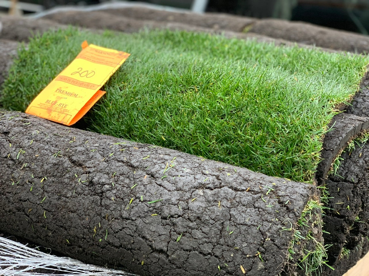 All our sod pricing is now online! – Sod and Seed, Inc.
