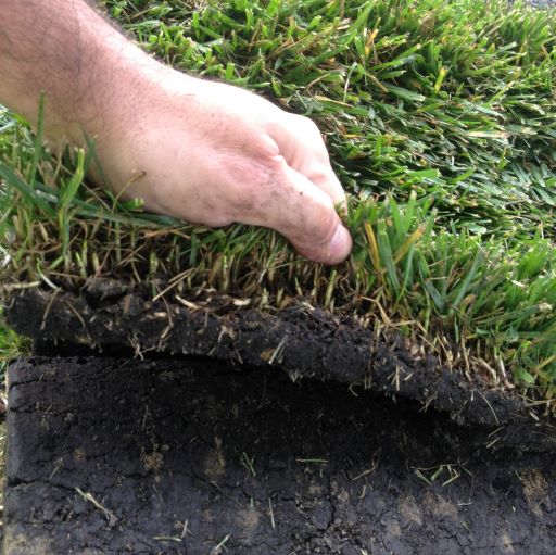 Plastic Free Sod For The Future – Sod and Seed, Inc.