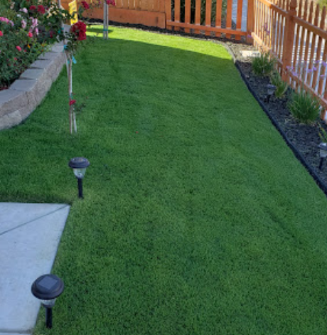 What is the Best Sod for Sandy Soil? – Sod and Seed, Inc.