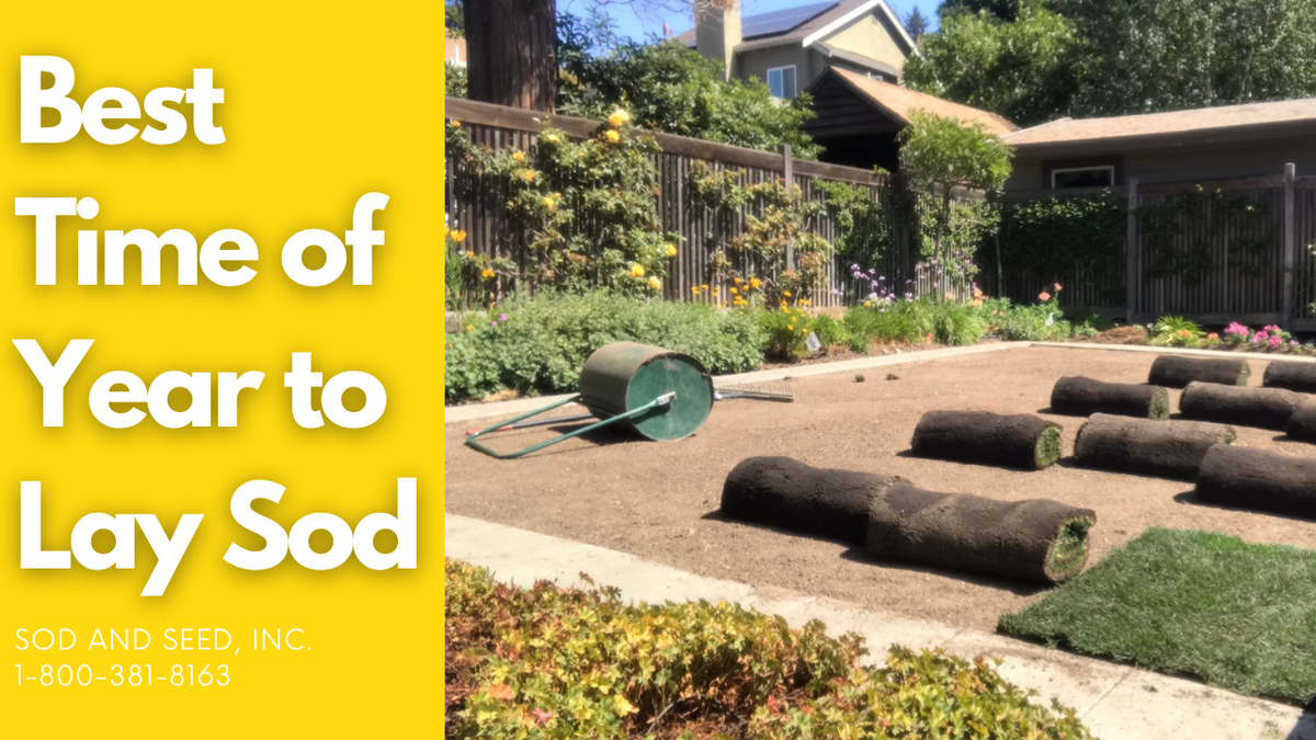Best Time of Year to Lay Sod – Sod and Seed, Inc.