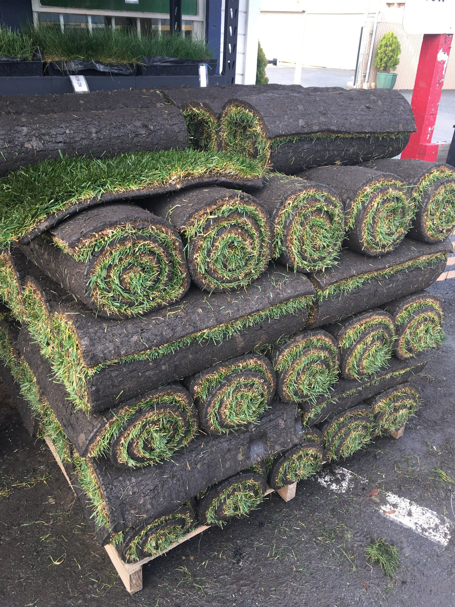 What is sod? – Sod and Seed, Inc.