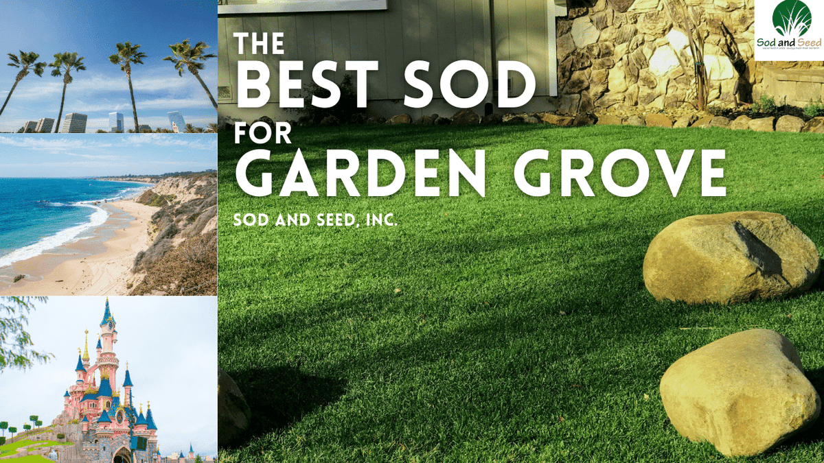 Best Sod for Garden Grove – Sod and Seed, Inc.