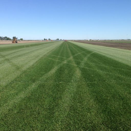 PLASTIC FREE SOD - Non-netted grass and sports turf – Sod and Seed, Inc.