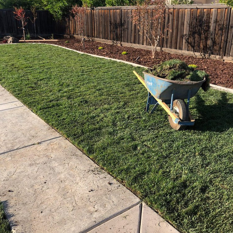 HOW TO LAY SOD – Sod and Seed, Inc.