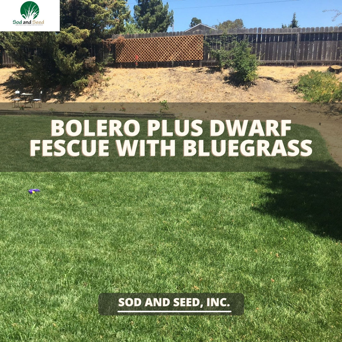 FREE DELIVERY on all sod, grass seed and lawn product orders! – Sod and ...