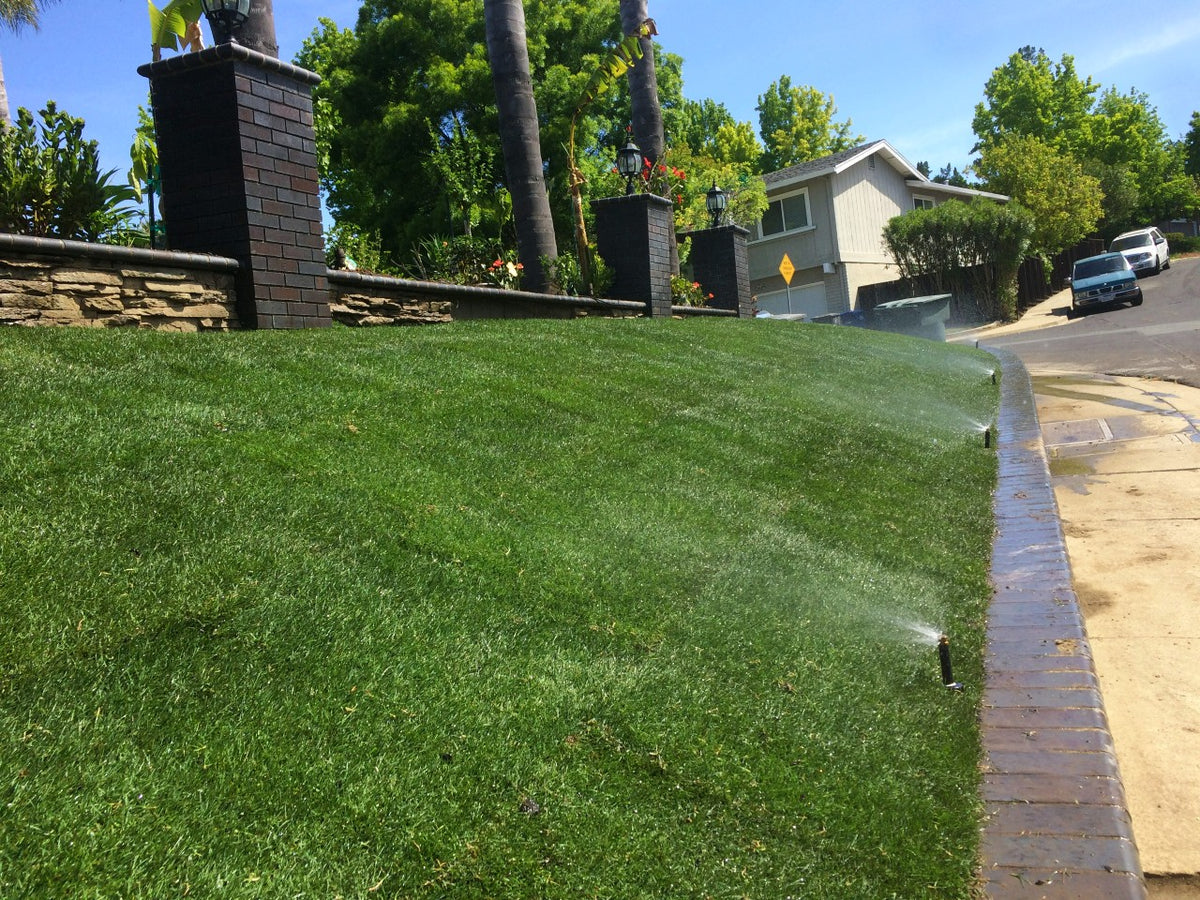 Kentucky Bluegrass Sod – Sod and Seed, Inc.