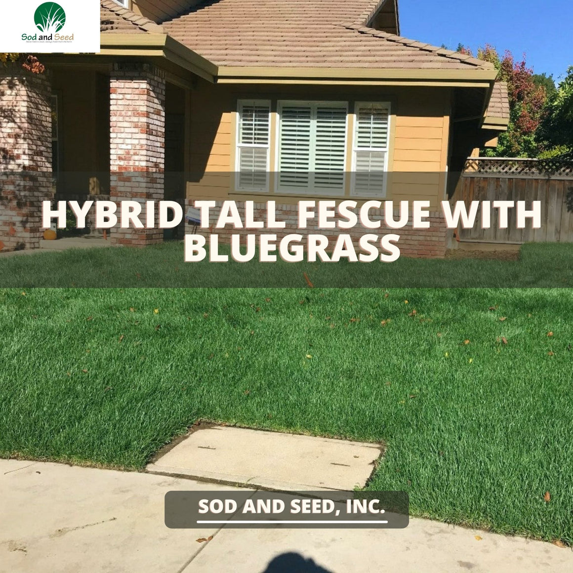 FREE DELIVERY on all sod, grass seed and lawn product orders! – Sod and ...