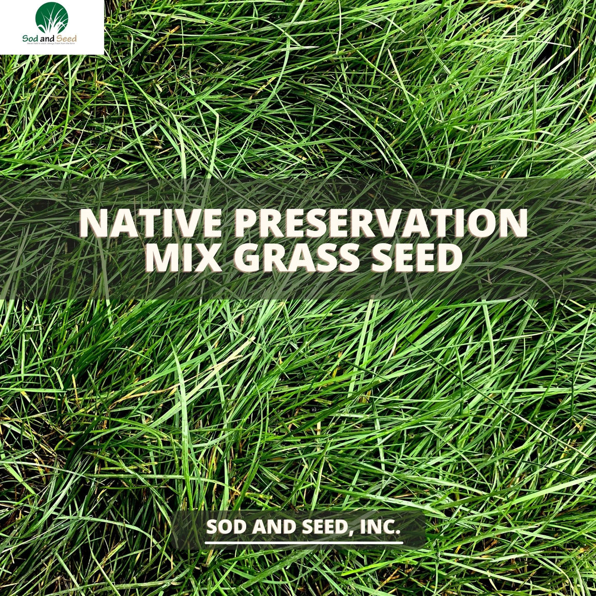 Grass Seed for Your Lawn - Free Shipping – Sod and Seed, Inc.