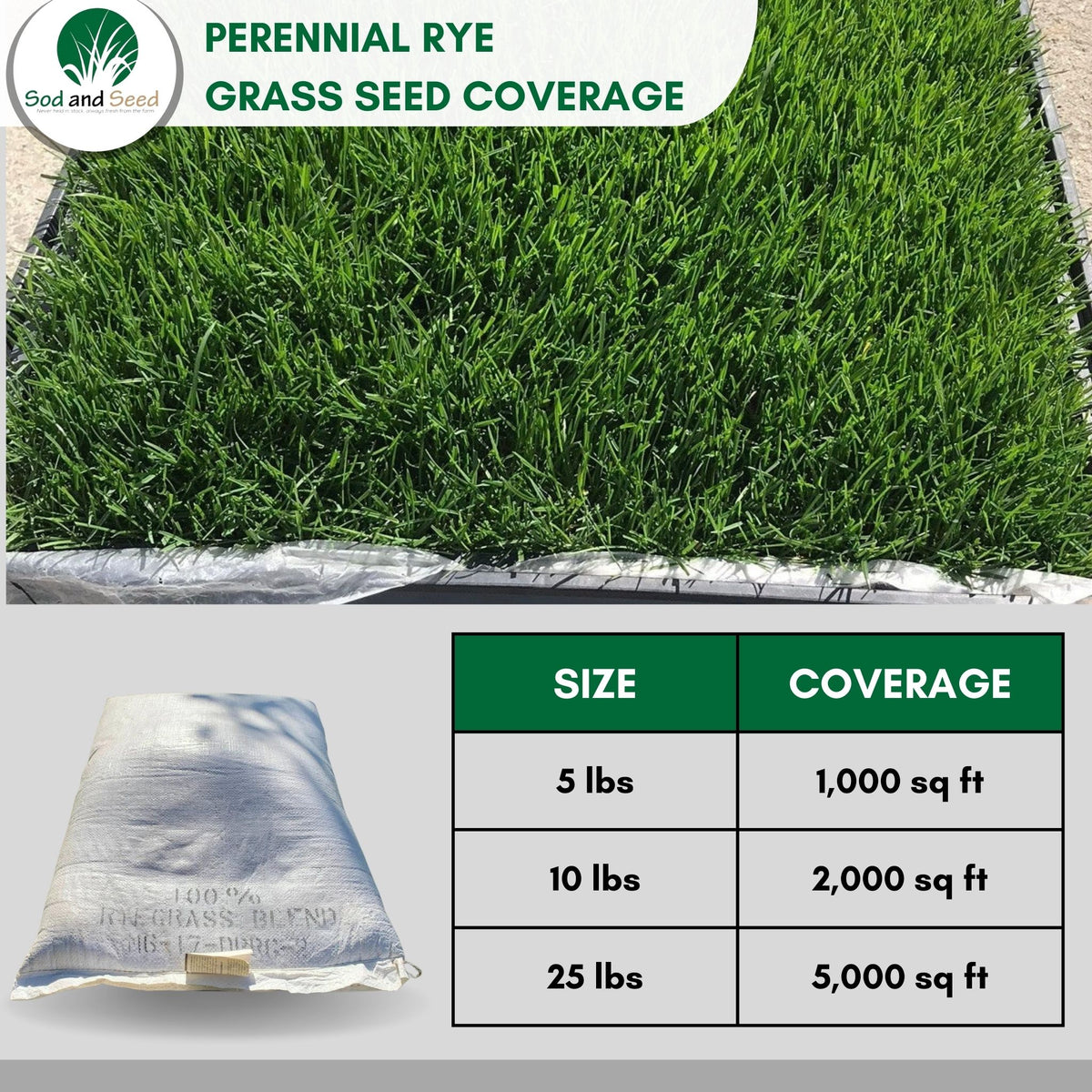 West Coaster Rye Grass Sod – Sod and Seed, Inc.