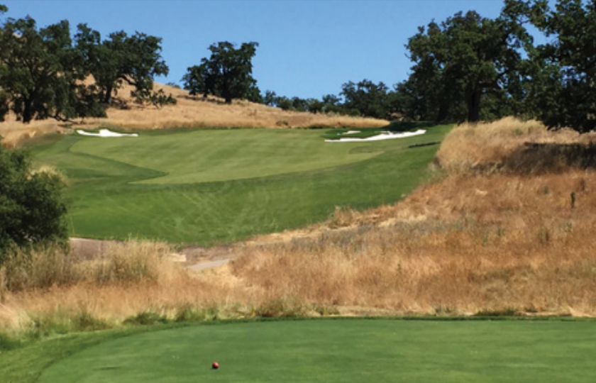 Santa Ana Bermuda Grass – Sod and Seed, Inc.