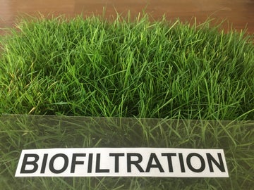 California Native Biofiltration Grass Seed – Sod and Seed, Inc.