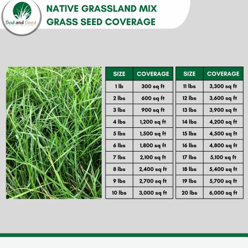 Native Grassland Mix Grass Seed – Sod and Seed, Inc.