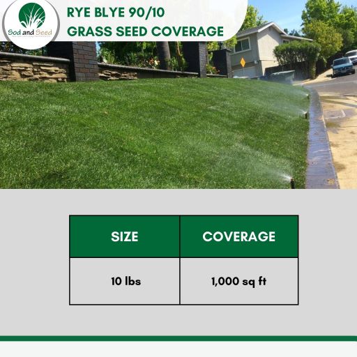 Rye Blue Grass Seed 90 10 – Sod and Seed, Inc.